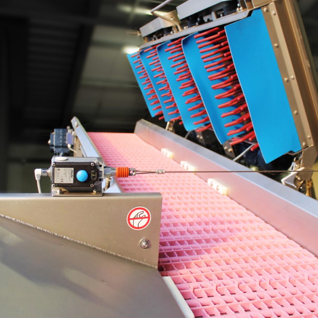 Home - Rad Custom Winery